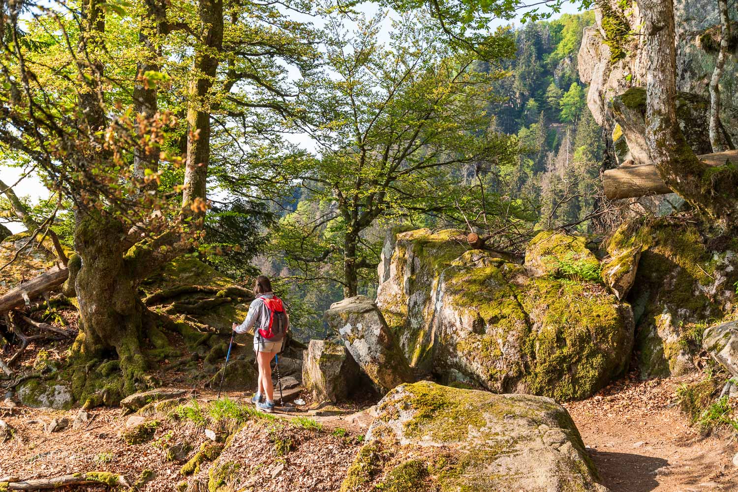 Vosges | Nos plus belles idées de randonnées à la journée – Instant Nomade
