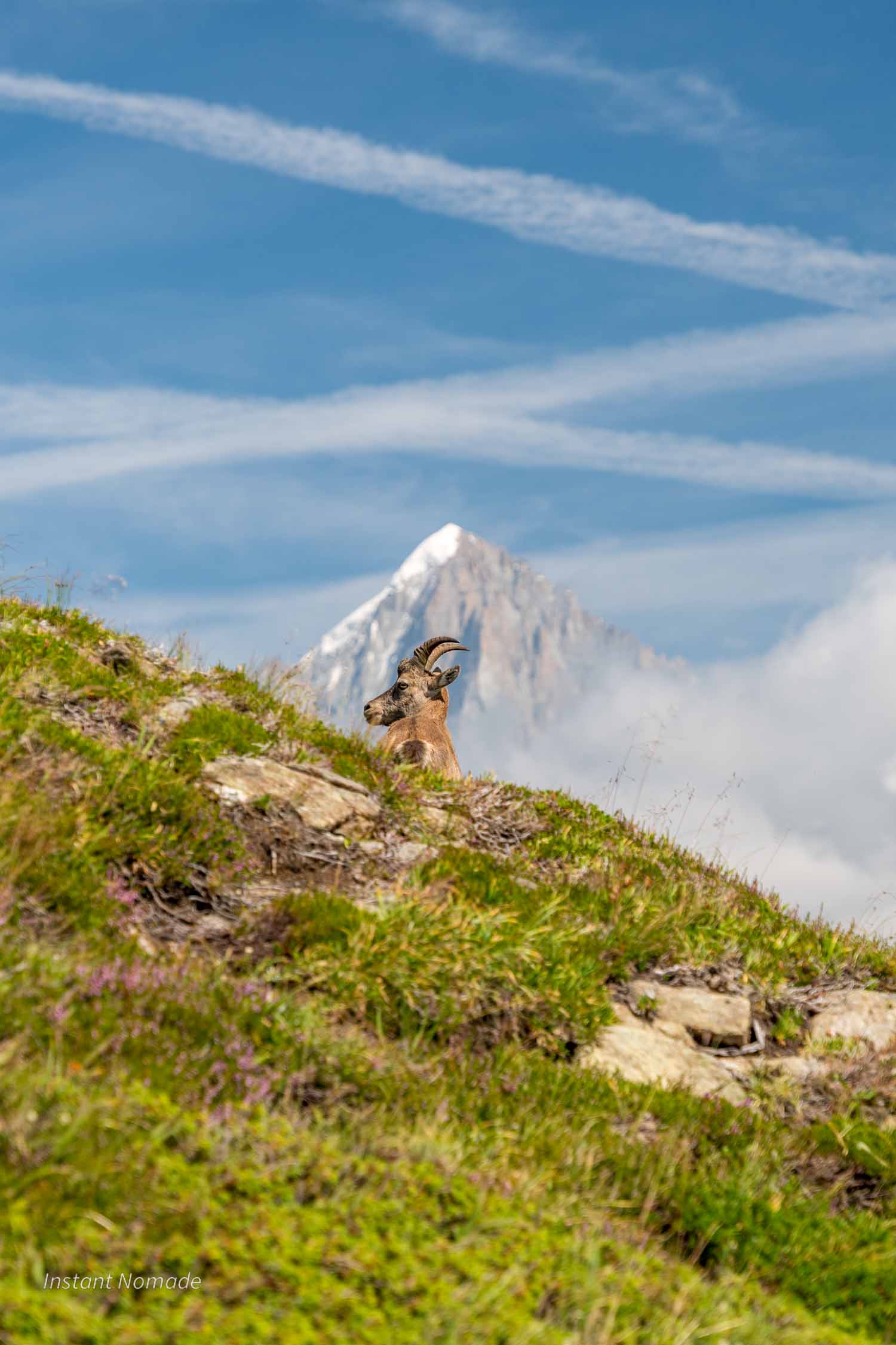Tour des Aiguilles Rouges en 4 jours | Organisation, itinéraire ...